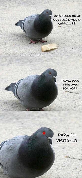 Memes Pombo Vacilao
